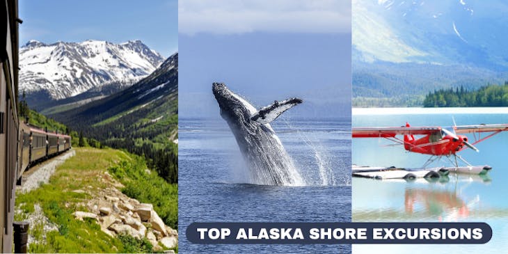Top Alaska Shore Excursions