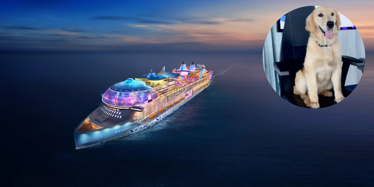 Royal Caribbean Names Chief Dog Officer for Star of the Seas