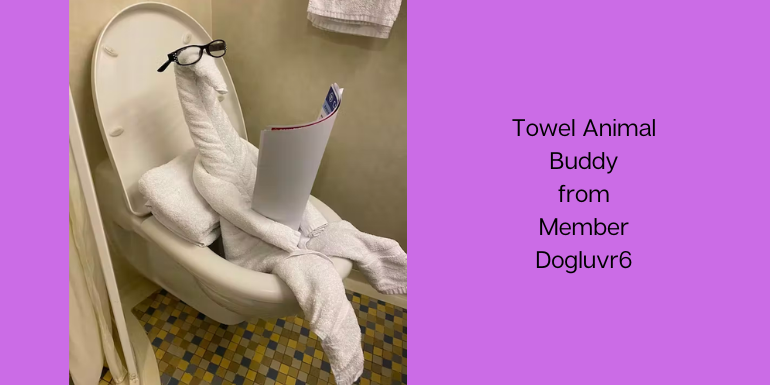 Top 15 Favorite Towel Animals