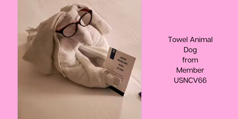 Top 15 Favorite Towel Animals