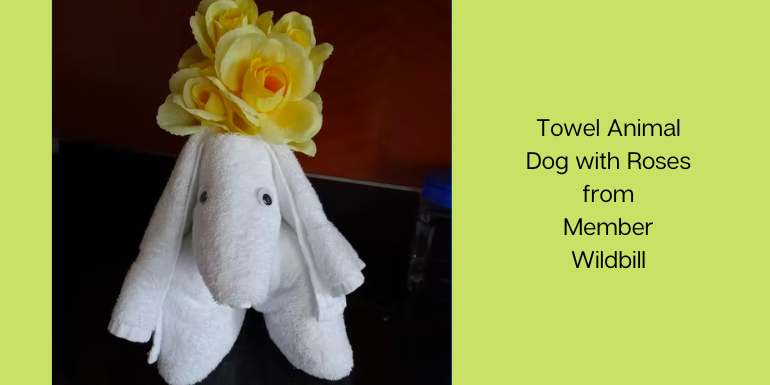 Top 15 Favorite Towel Animals