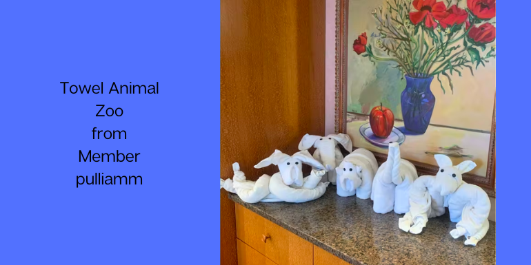Top 15 Favorite Towel Animals