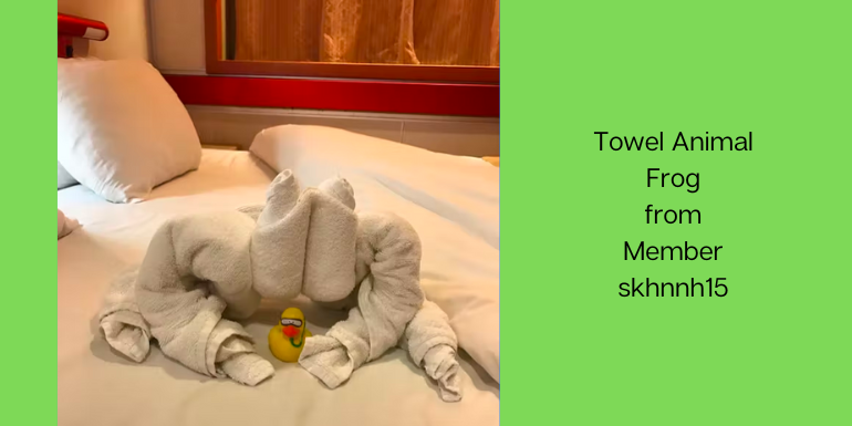 Top 15 Favorite Towel Animals