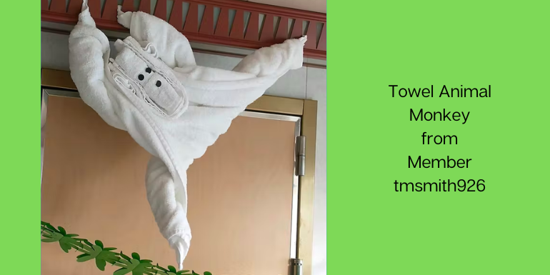 Top 15 Favorite Towel Animals