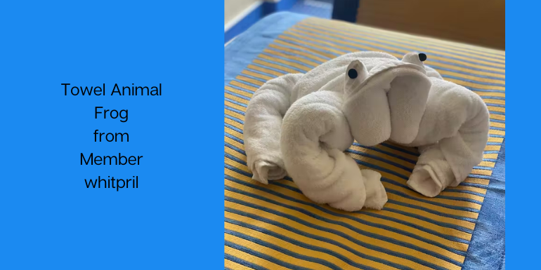 Top 15 Favorite Towel Animals