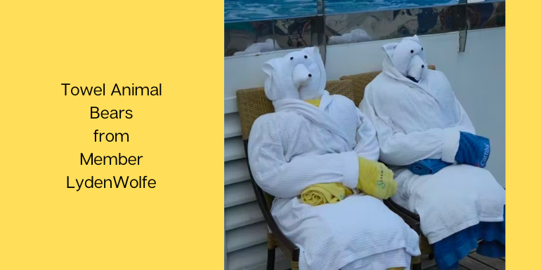 Top 15 Favorite Towel Animals